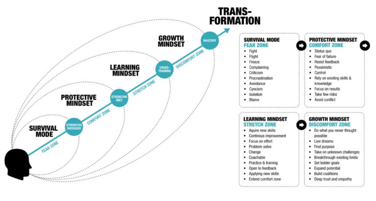 Beyond Growth Mindset: Embracing the Self-Transforming Mind - Skip Bowman
